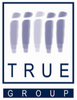 True Group – True Group holds investments in a variety of asset classes ...
